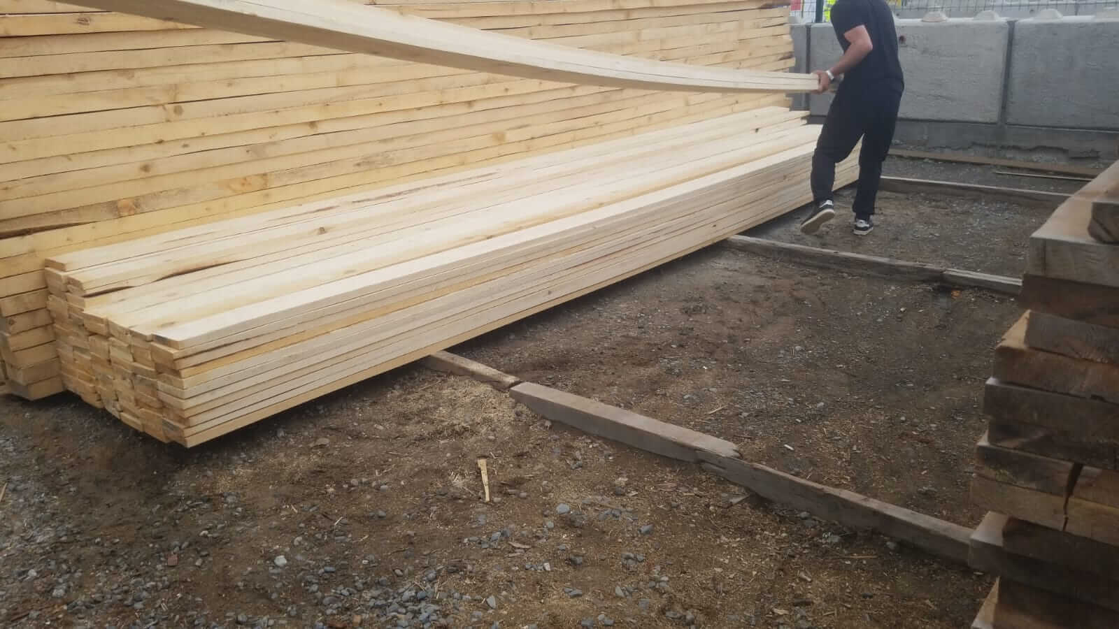 ხის მასალა - ნედლი და მშრალი ხის მასალა