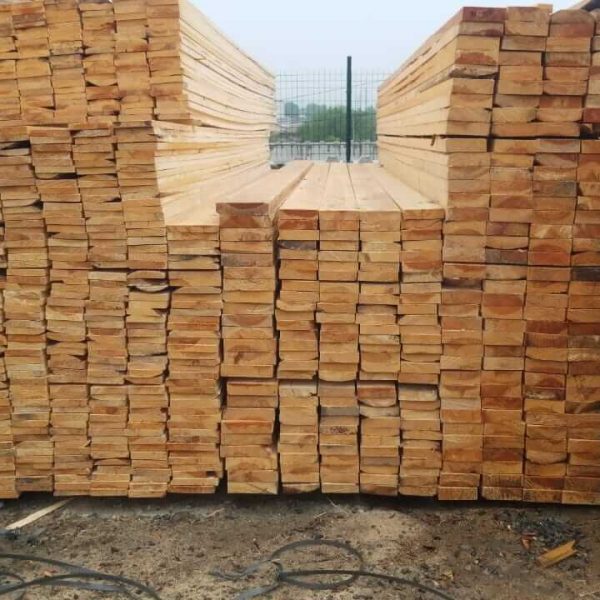 ხის მასალა - ნედლი და მშრალი ხის მასალა