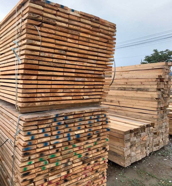 ხის მასალა - ნედლი და მშრალი ხის მასალა